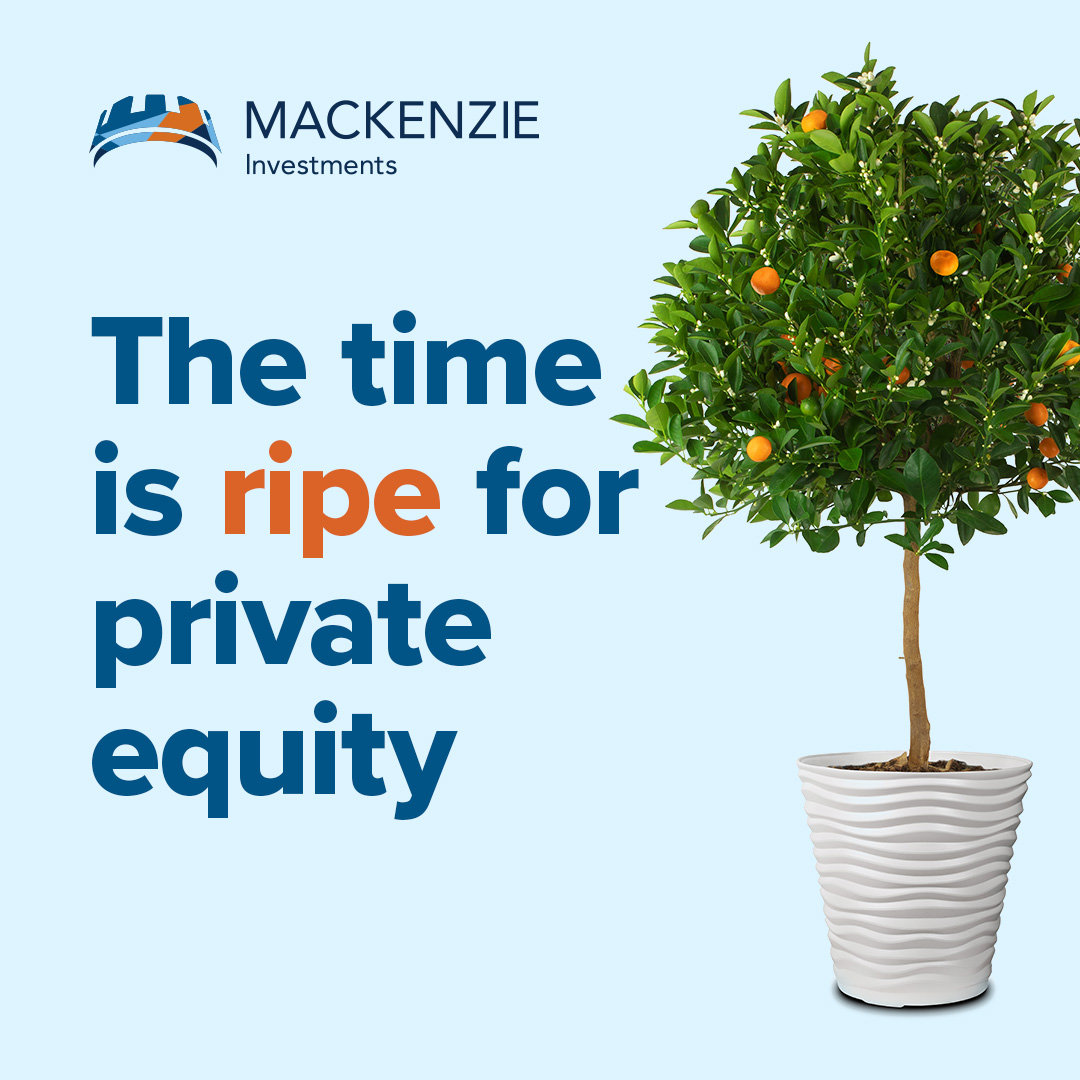 How clients can benefit from private equity | Mackenzie Investments