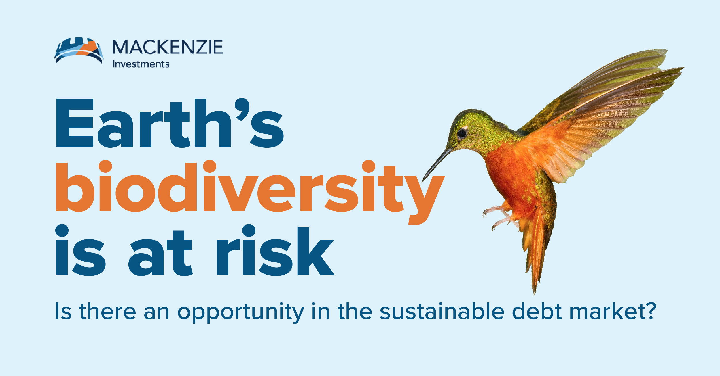 Sustainable debt funding a better world