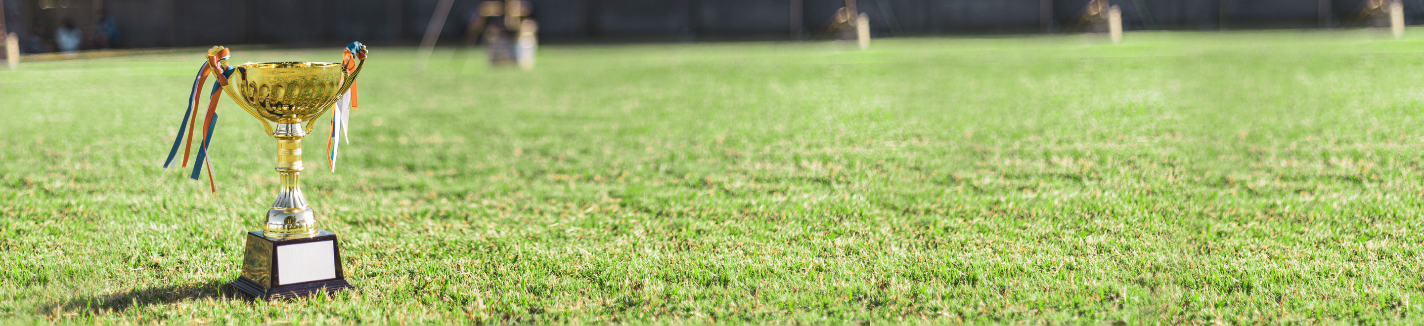 What are the best ETFs in Canada for you?