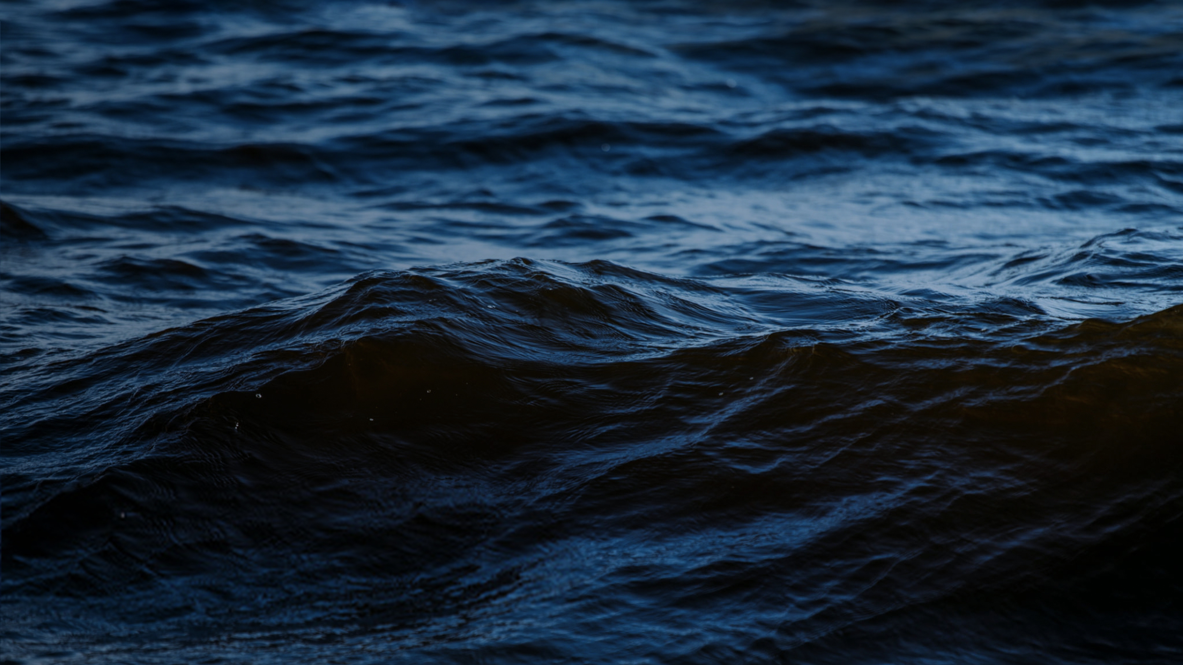 Commentaire mensuel — Équipe Mackenzie Bluewater | Placements Mackenzie