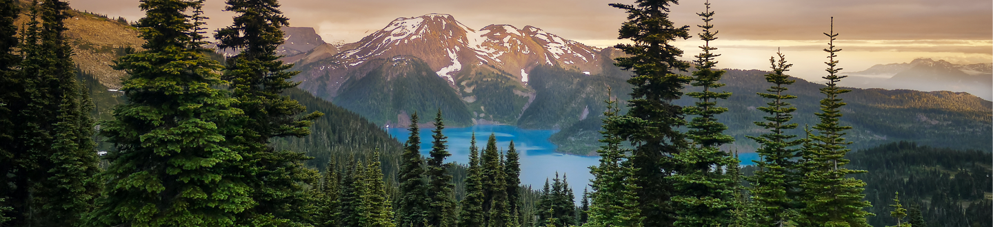 The Global Equity and Income team’s approach towards responsible investing