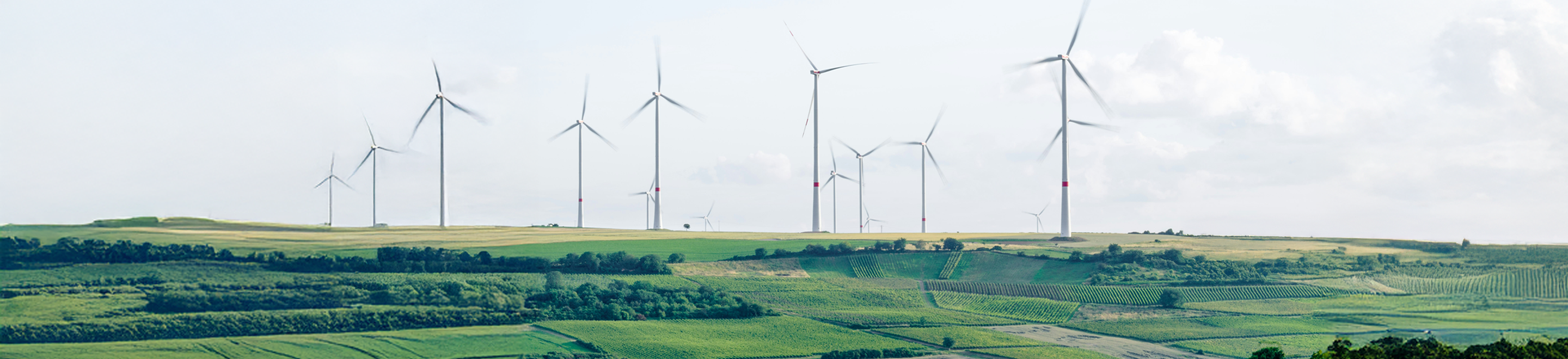 The future of the clean energy transition