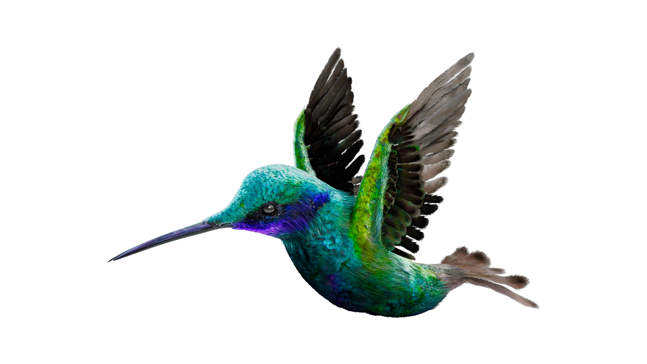 Programme de stages de Placements Mackenzie | Placements Mackenzie